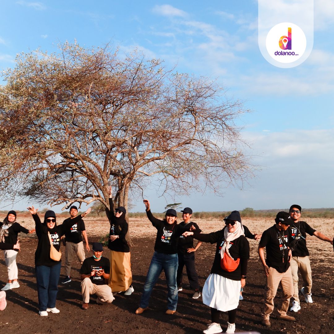 Savana Bekol Baluran, Nikmati Pesona Afrika di Tanah Jawa 2024 - Dolanoo